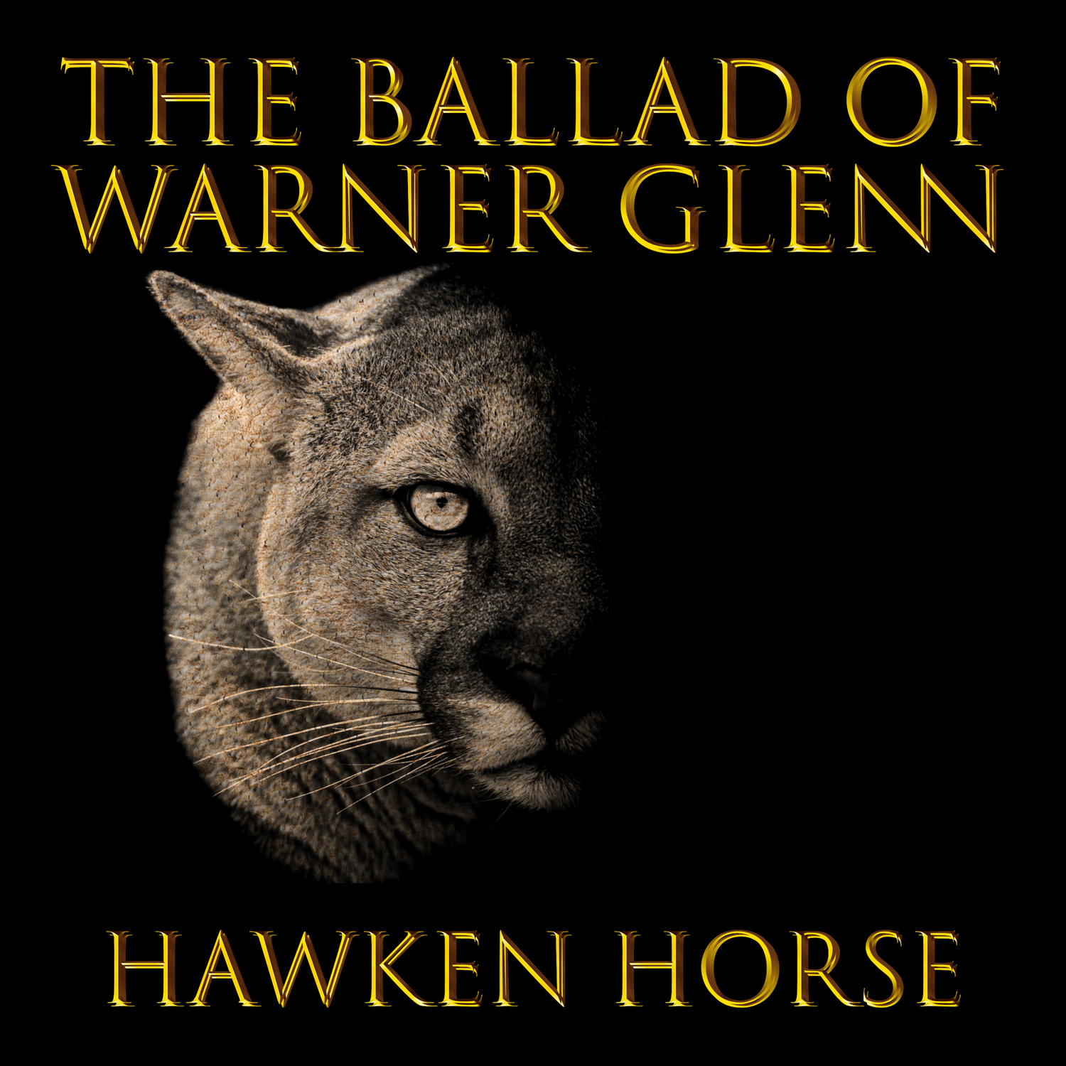 The Ballad of Warner Glenn – Hawken Horse